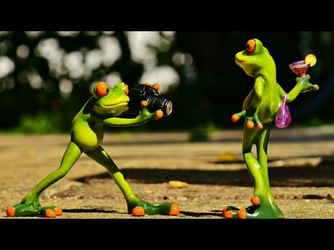 Love frog-Crazy frog  #4