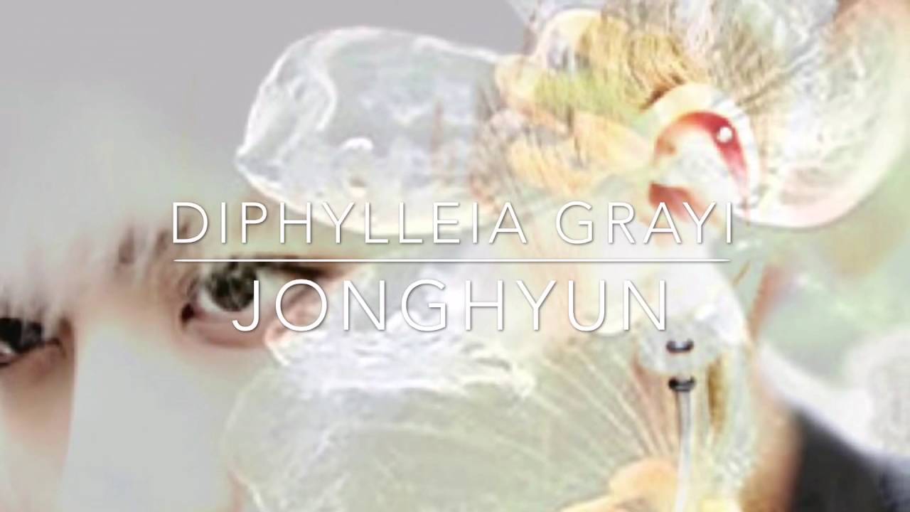 (3D Audio) JONGHYUN (김종현) – DIPHYLLEIA GRAYI (산하엽)/ SKELETON FLOWER ...
