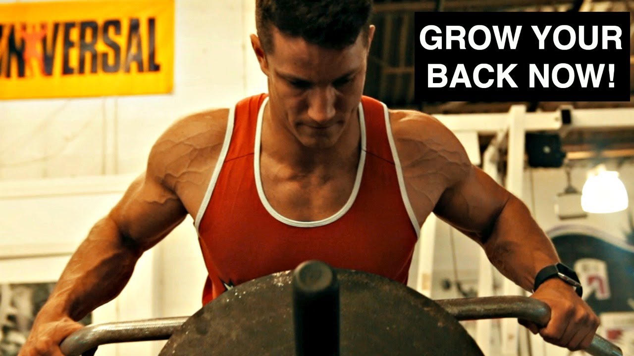 Top 3 Exercises for a THICKER Back (GAIN BACK MUSCLE FAST) - YouTube