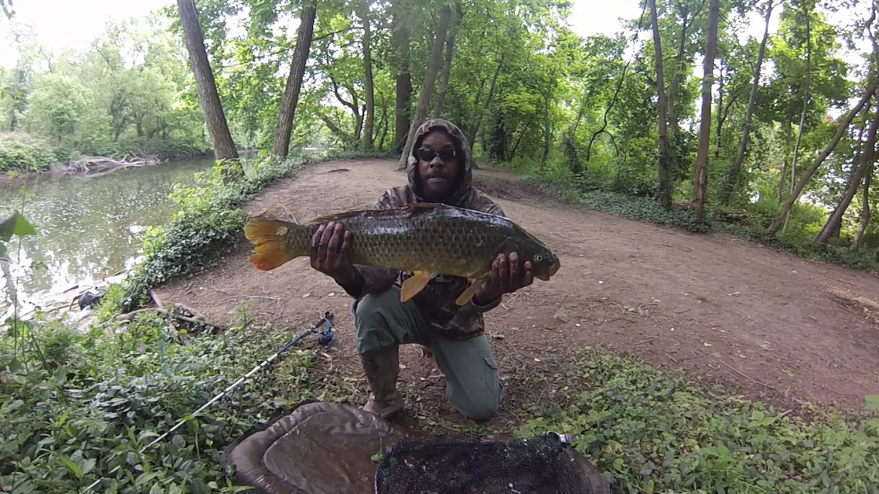 ANOTHER GREAT CARP ADVENTURE!!!!!!!!!!!!!!!!!! - YouTube