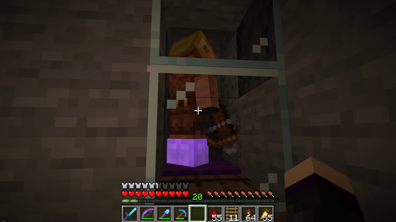 Minecraft Survival: Piglin Auto-Trader - YouTube