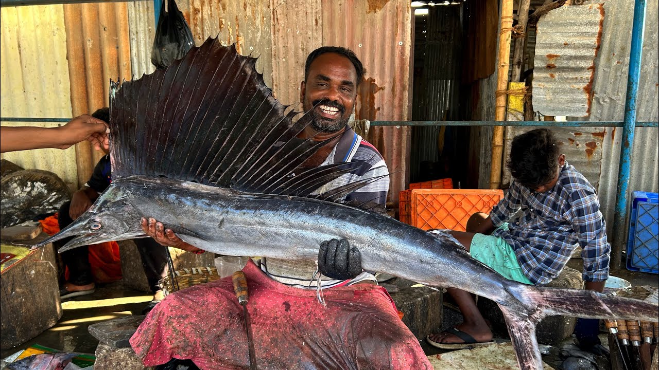 🦚MYZIL KOLA FISH |KASIMEDU FISH MARKET | AMAZING CUTTING SKILLS VIDEO # ...