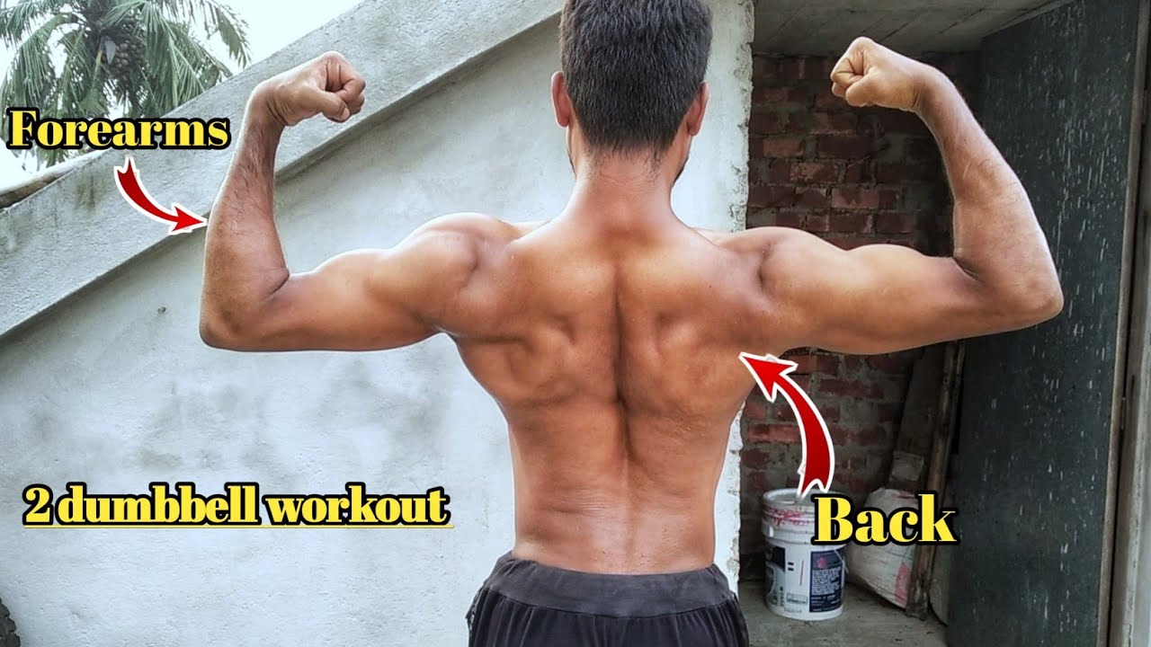 Back & Forearm Workout At Home With 2 dumbbells - YouTube