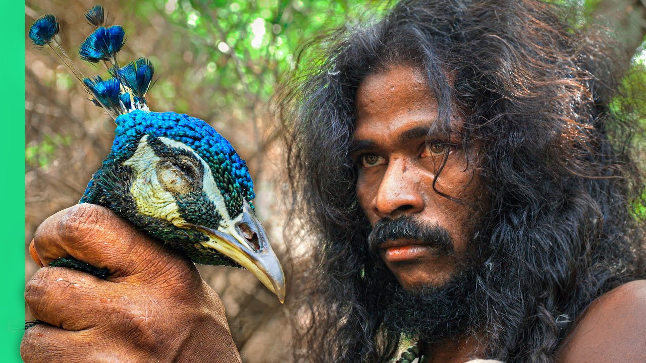 Sri Lankan Tribe Hunts Peacock!! 24 Hours With the Vedda!! - YouTube