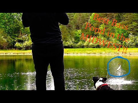 Fishing the #1 bass pond IN THE MIDWEST (4K) catching again and ...
