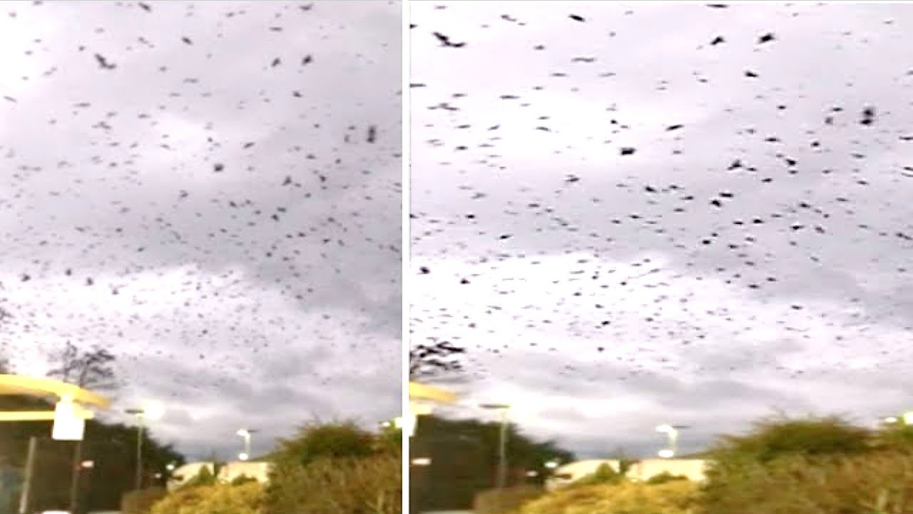 This Woman Accidentally Caught A Real Life Glitch In The Matrix ...