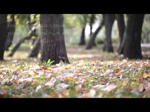 Soyuqdu. Müşfiq XAN