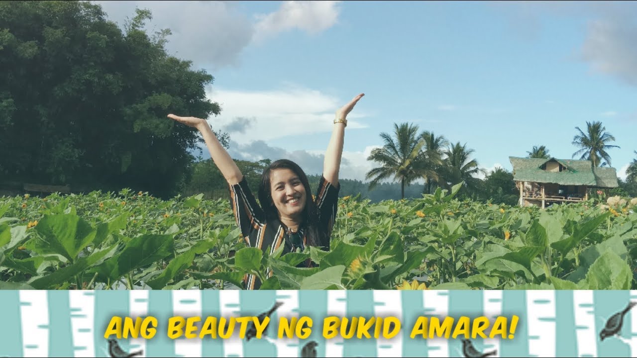 Pasyalan sa Lucban | Bukid Amara (Flower Farm) | Lucban Quezon - YouTube