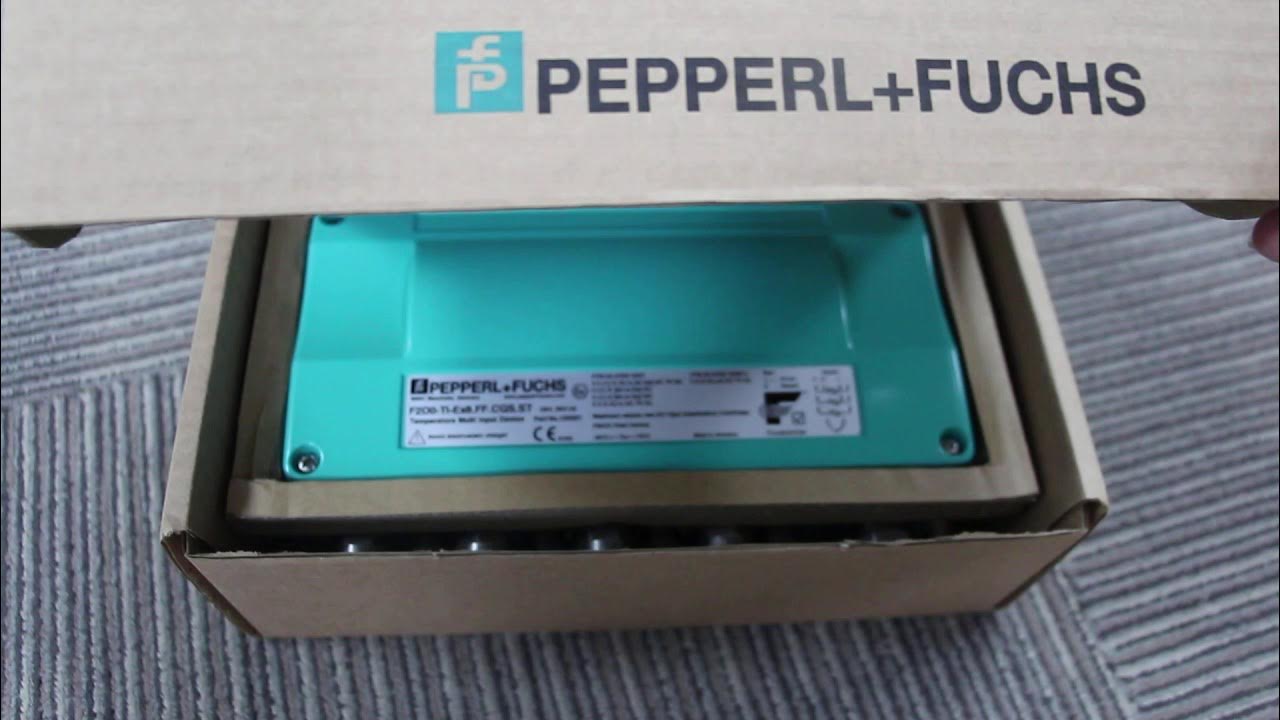 We sell Pepperl+Fuchs F2D0-TI-EX8.FF.CGS.ST Temperature Multi-Input Device with Aluminum Housing ...