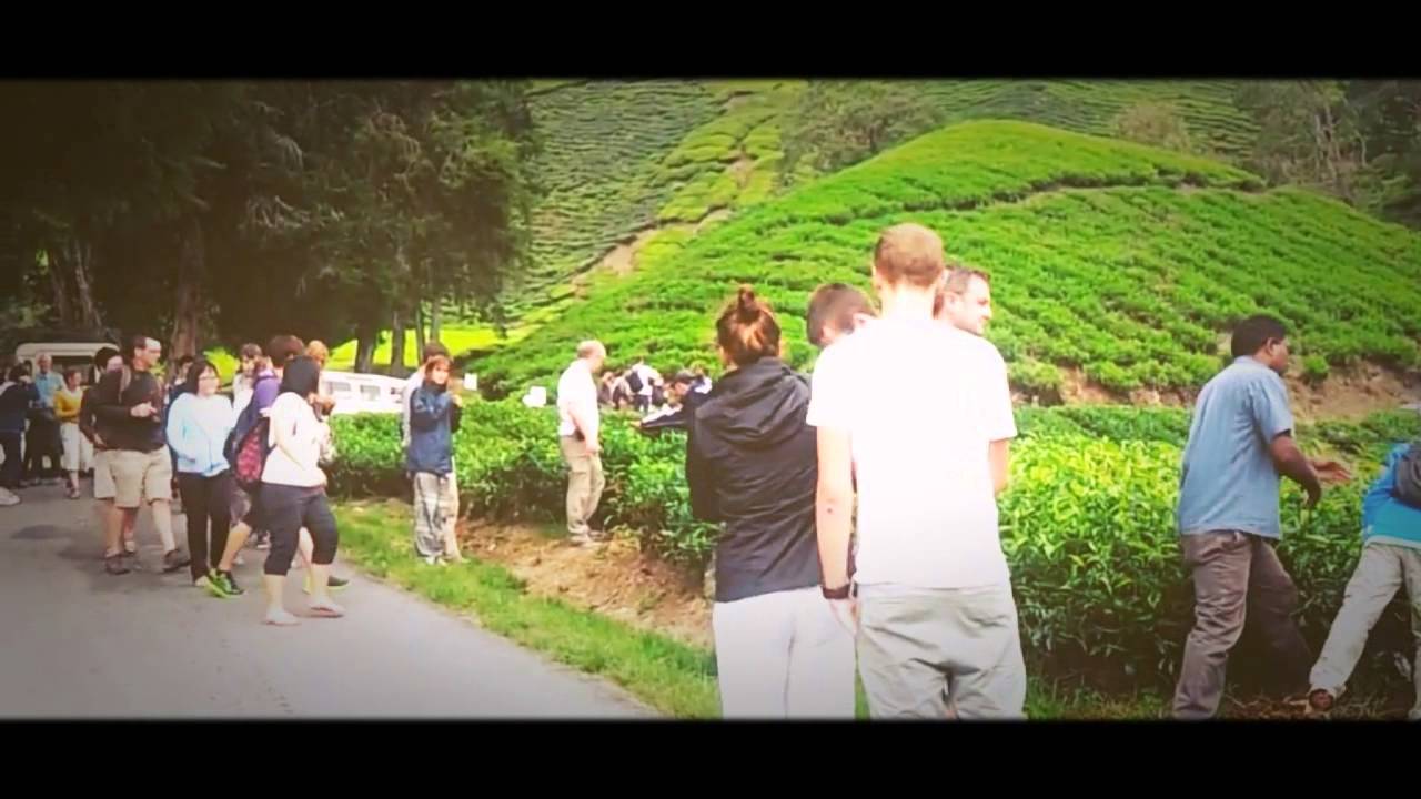 Cameron Highlands adventure tours - YouTube