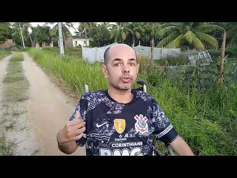 muita chuva no nordeste alagou meu terreno + o cágado perigoso | TV Jack Barreto