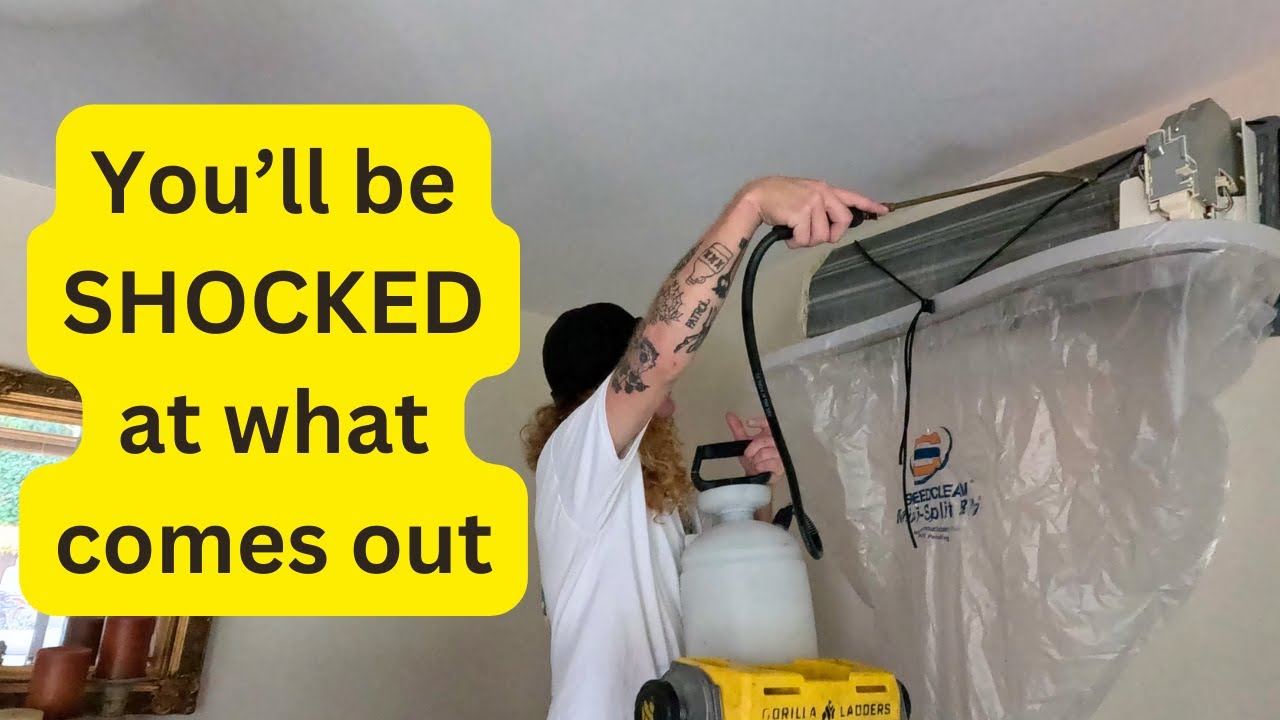 Mini Split DEEP CLEAN. Sweet Lady NOT HAPPY About The Bill - YouTube