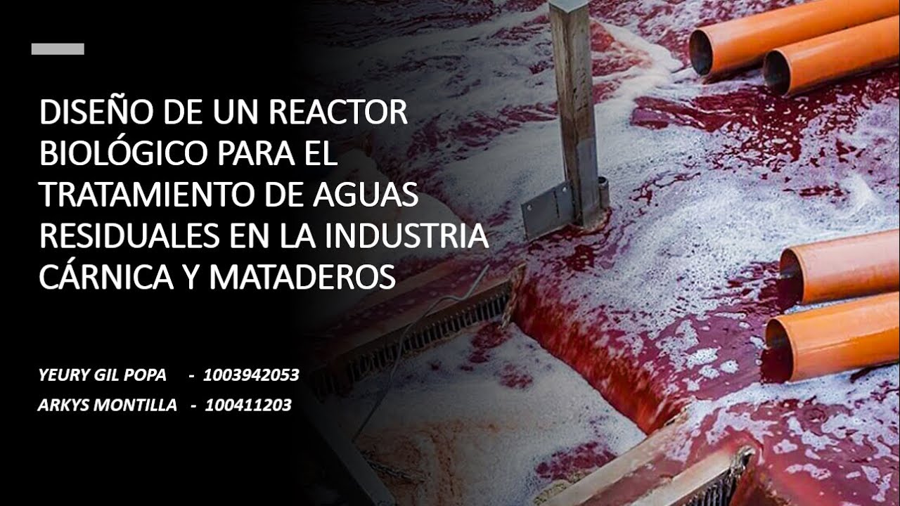DISEÑO DE UN REACTOR BIOLÓGICO PARA EL TRATAMIENTO DE AGUAS RESIDUALES ...