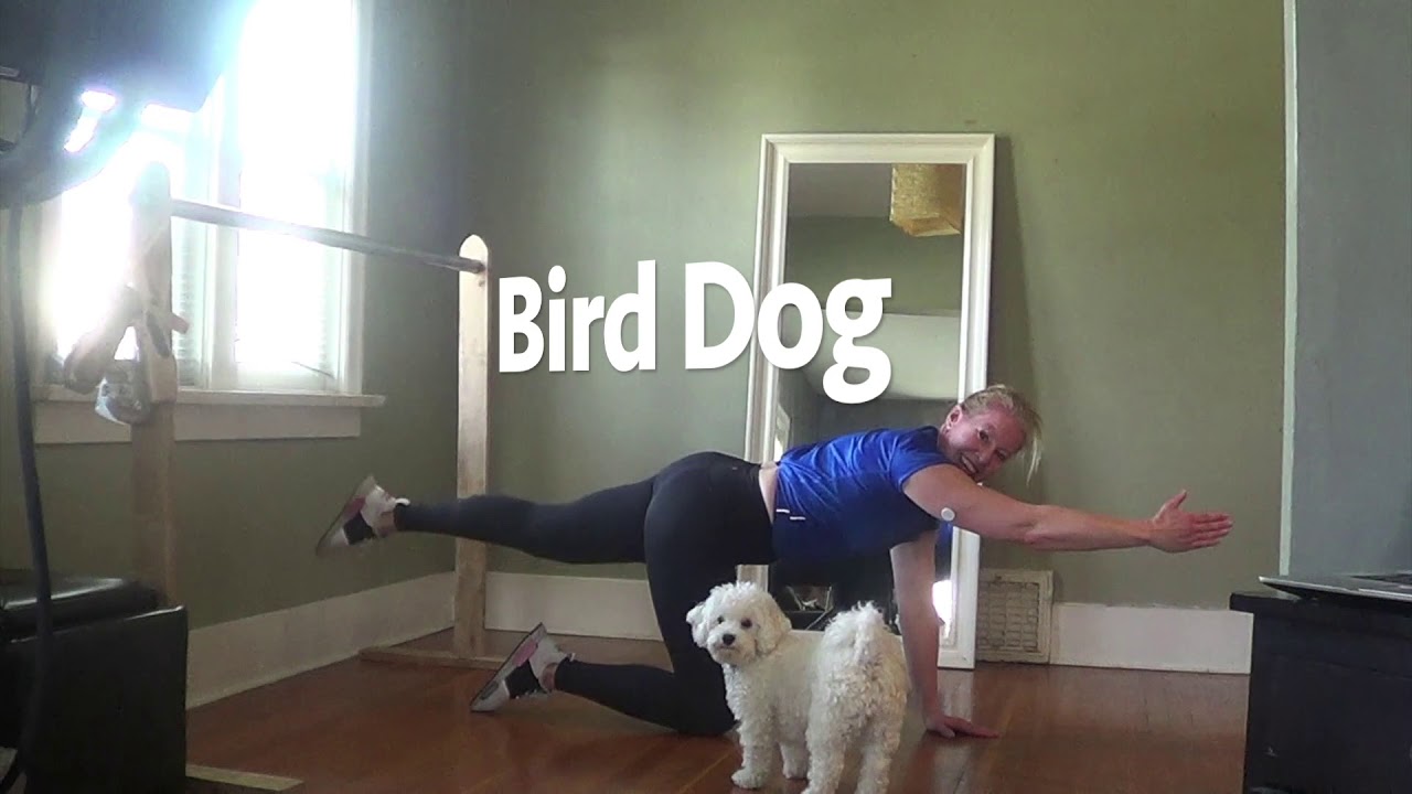 Bonnie Kramer Fitness 2020 Core Workout Part 2 - YouTube