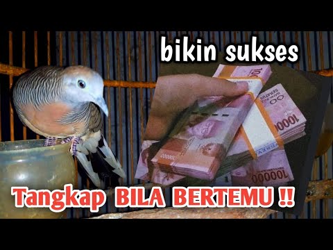 PEMBAWA UNTUNG_😱Peliharalah bila bejumpa