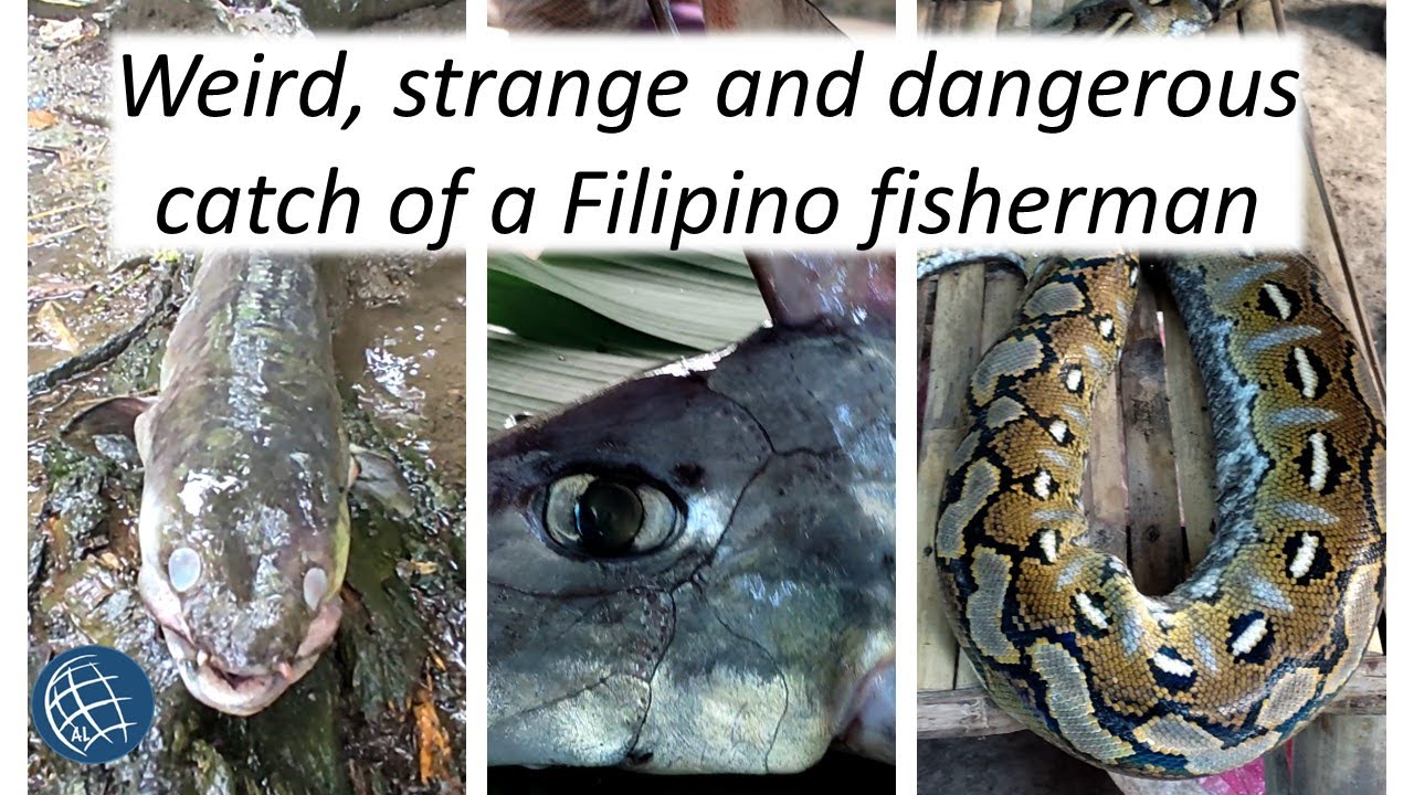 Catching Rat-Tail fish - YouTube