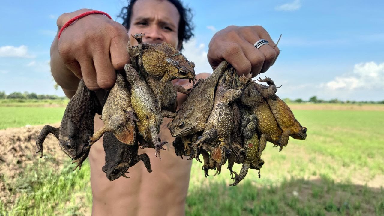 PRIMITIVE TOADS COOKING | cooking toad the tiny hut - YouTube