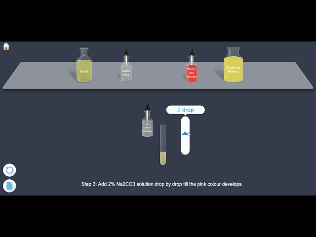 Urea Hydrolysis Test