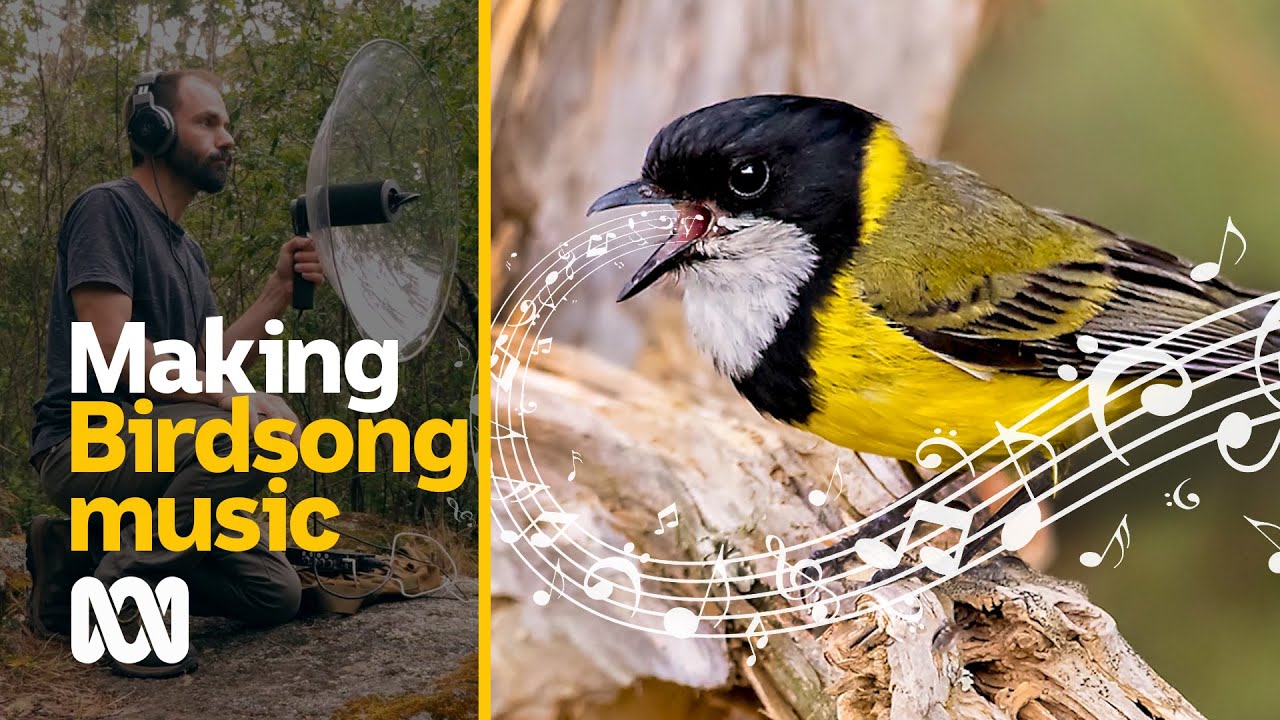 Making birdsong music | Amazing Australia | ABC Australia - YouTube