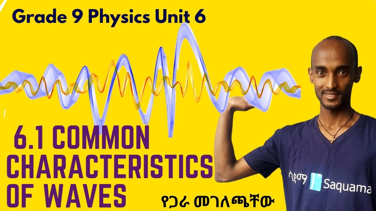 Grade 9 Physics Unit 6 :6.1 Common Characteristics of Waves | Saquama ...