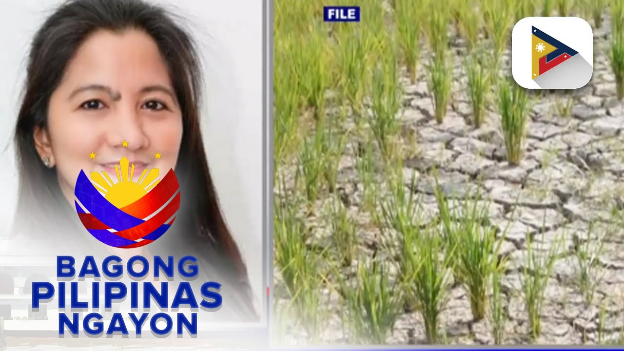 Panayam kay PAGASA Assistant Weather Services Chief Ana Liza Solis - YouTube