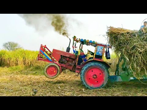 Belarus 510 Rusi Tractor Power Tractor Fail Sugar Load # ...