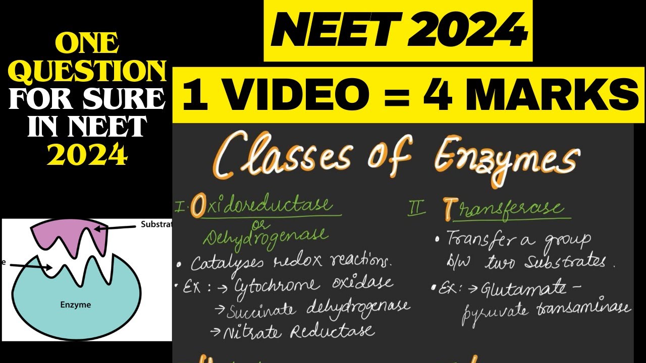 ENZYMES biology class 11 in Hindi | Enzyme Biomolecule class 11 one ...