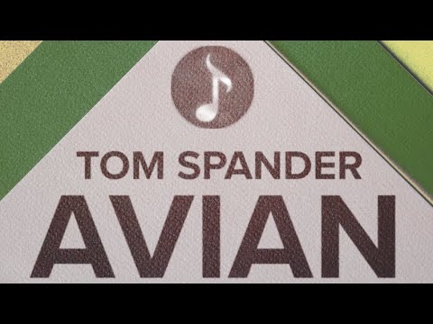 Tom Spander - Avian - YouTube