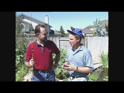 Throwback Thursday: Back in 1999, Rick Lantz visited the franks eating ...