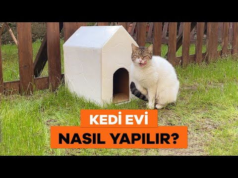 Karton Kutudan Kedi Evi Nasıl Yapılır? - Pratik Kedi Evi Yapımı 🐱