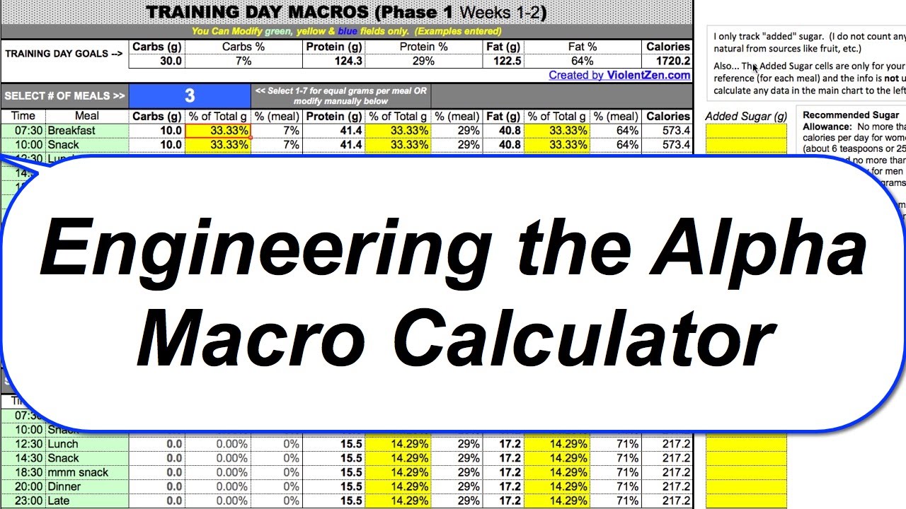 Intermittent Fasting Spreadsheet Calculator - Engineering The Alpha ...