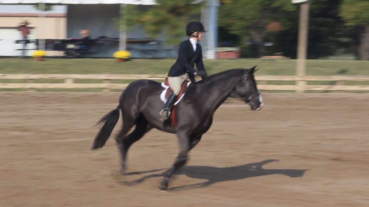 Handy Hunter Round- Texas Rose Park - YouTube