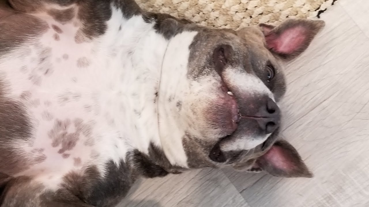 The Ultra Boss Mystery Box!! - YouTube