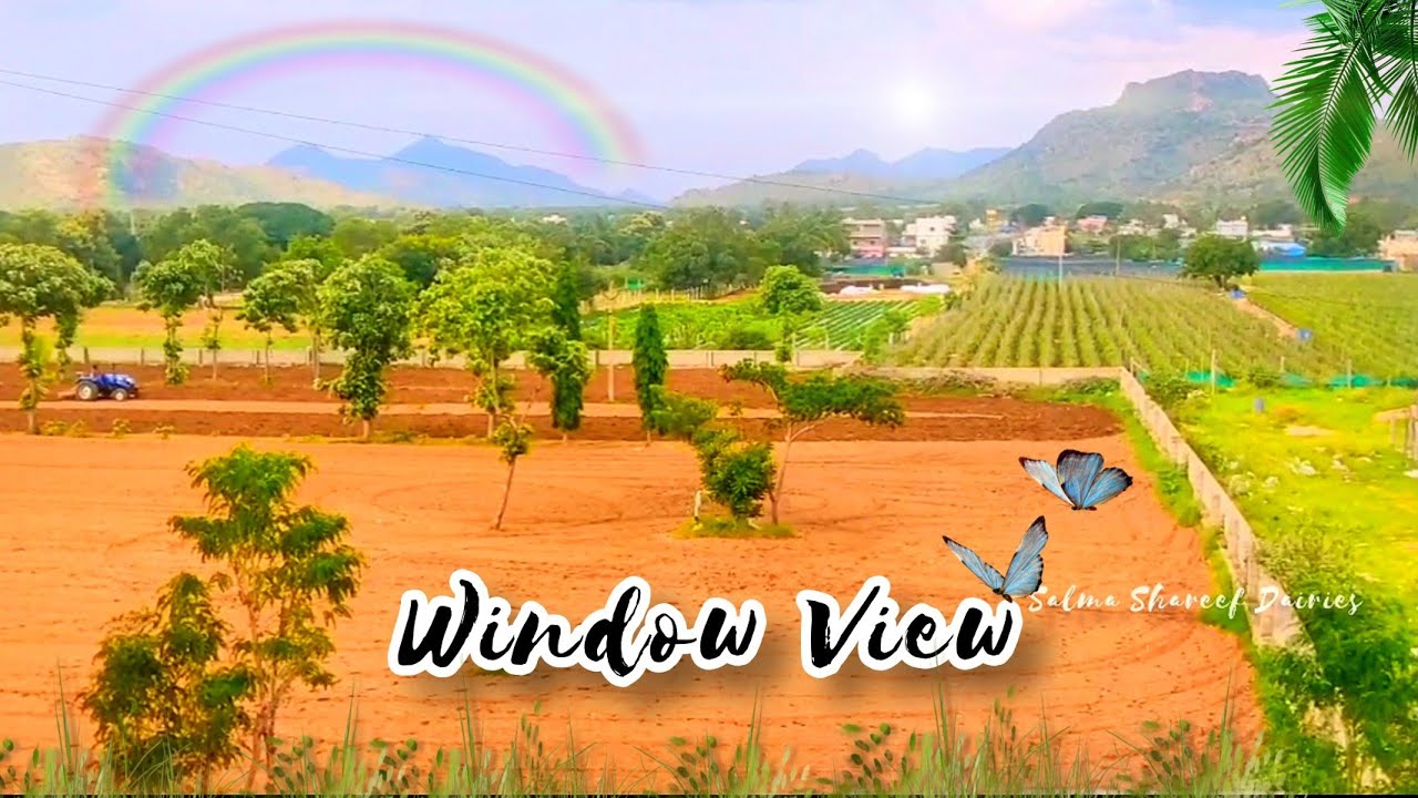 Agriculture Farming 🌳🌾•Cultivation 🏎•Tractor Working •Window View ...