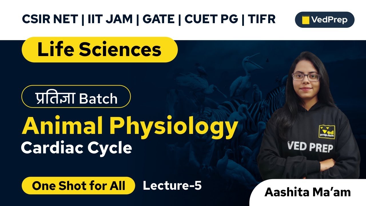 Cardiac Cycle | Animal Physiology | Life Sciences | CSIR NET | CUET PG ...
