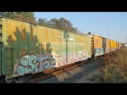 what a train Norfolk Southern Freight with lots of logs and a USDA ...