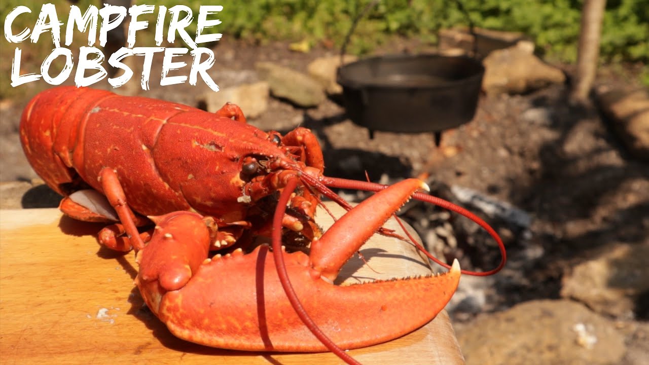 CATCHING A LOBSTER FROM A 1927 SHIPWRECK - Catch & Cook - Campfire ...