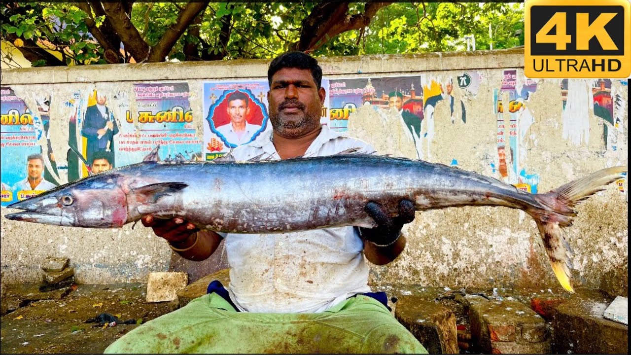 Ara kola fish cutting video/fishcuttingrs#fish #fishcooking #kasimedu # ...