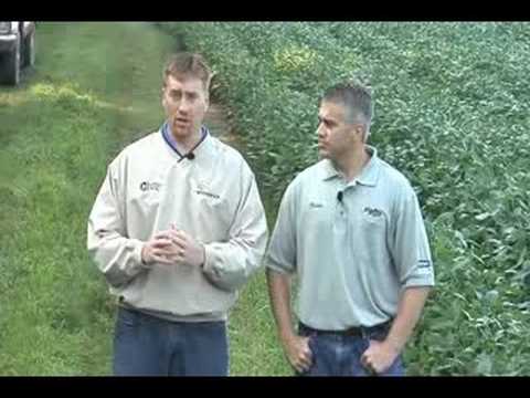 DIY Soil Testing (From Ag PhD #544) - YouTube