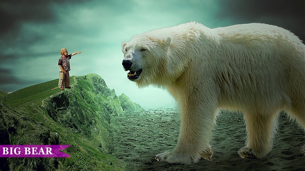 Big Bear - Photo Manipulation Tutorial - Photoshop CC - YouTube
