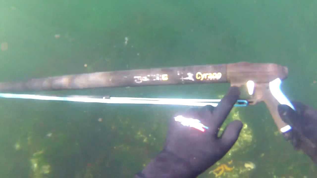 Lingcod Spearfishing - YouTube
