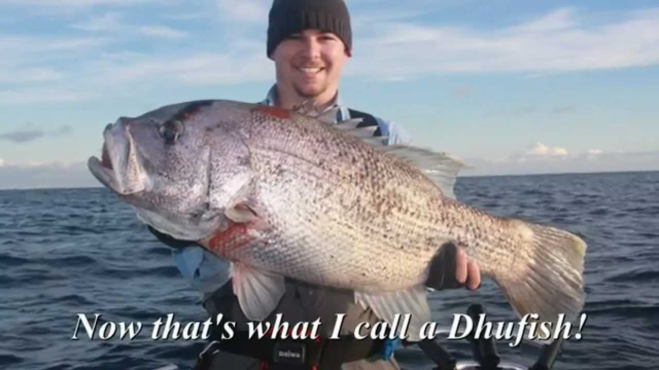 How do you catch dhufish? - YouTube