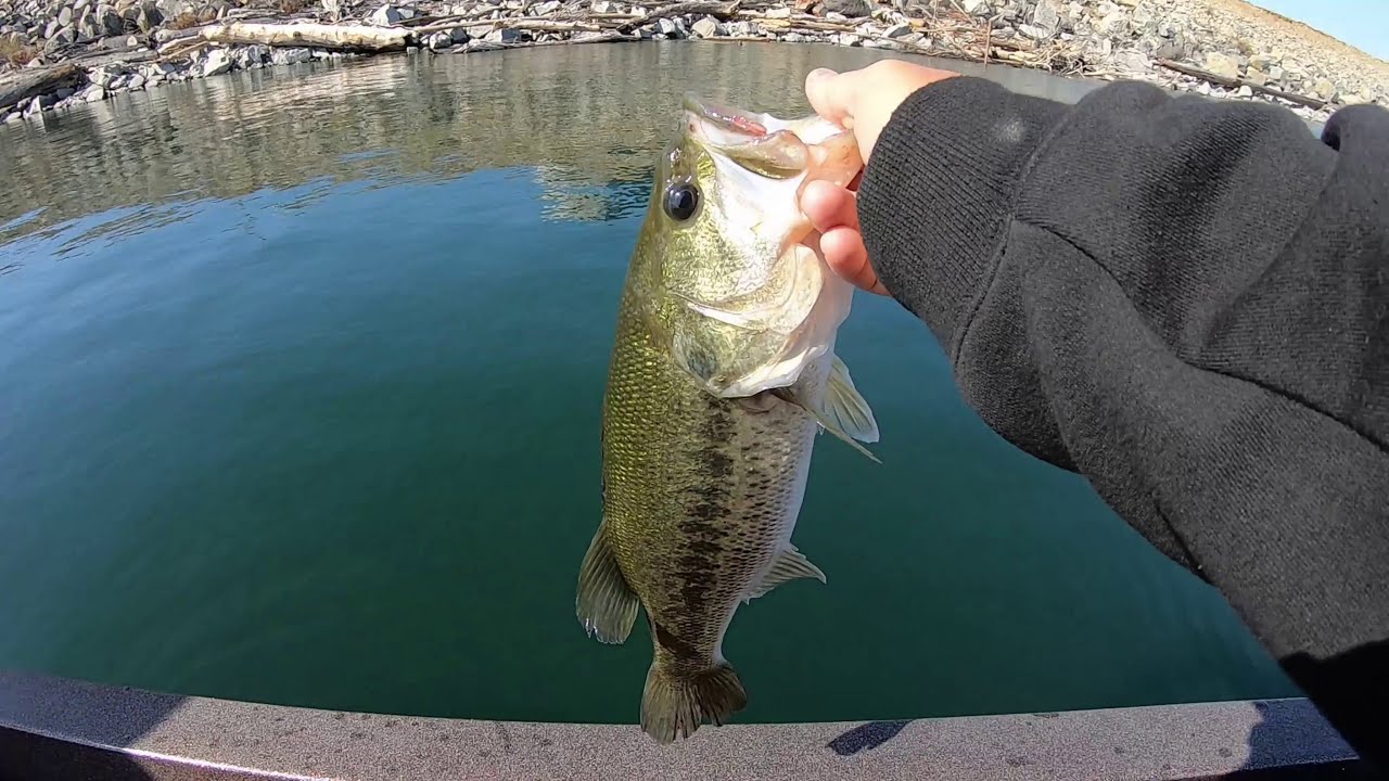 Friend Fishing Adventure | Bass Fishing! - YouTube