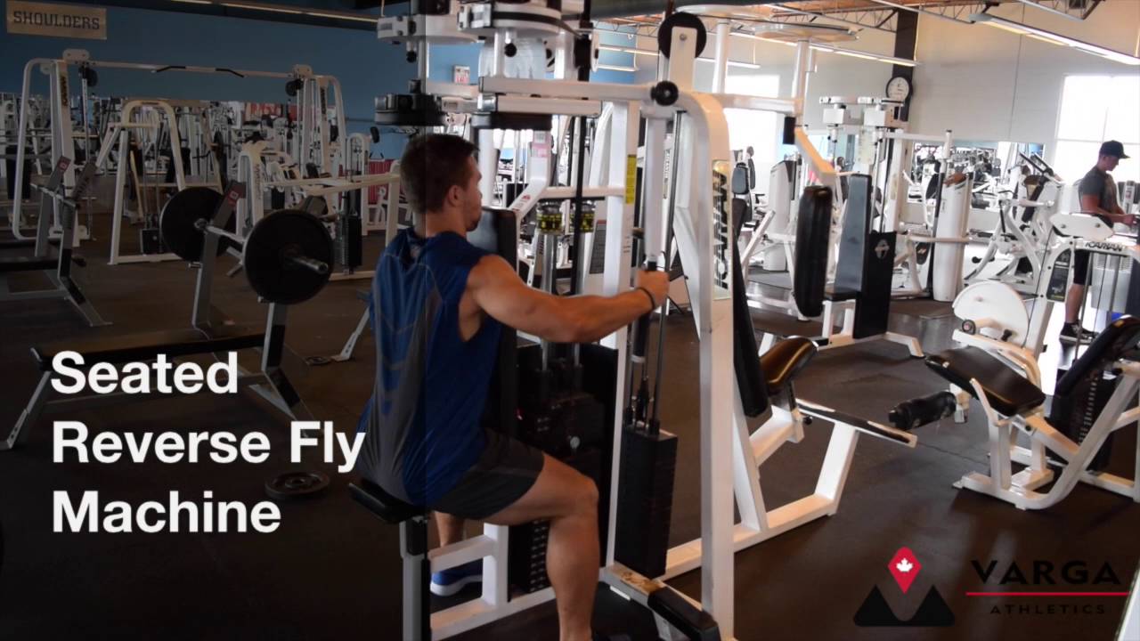 Seated Reverse Fly Machine - YouTube