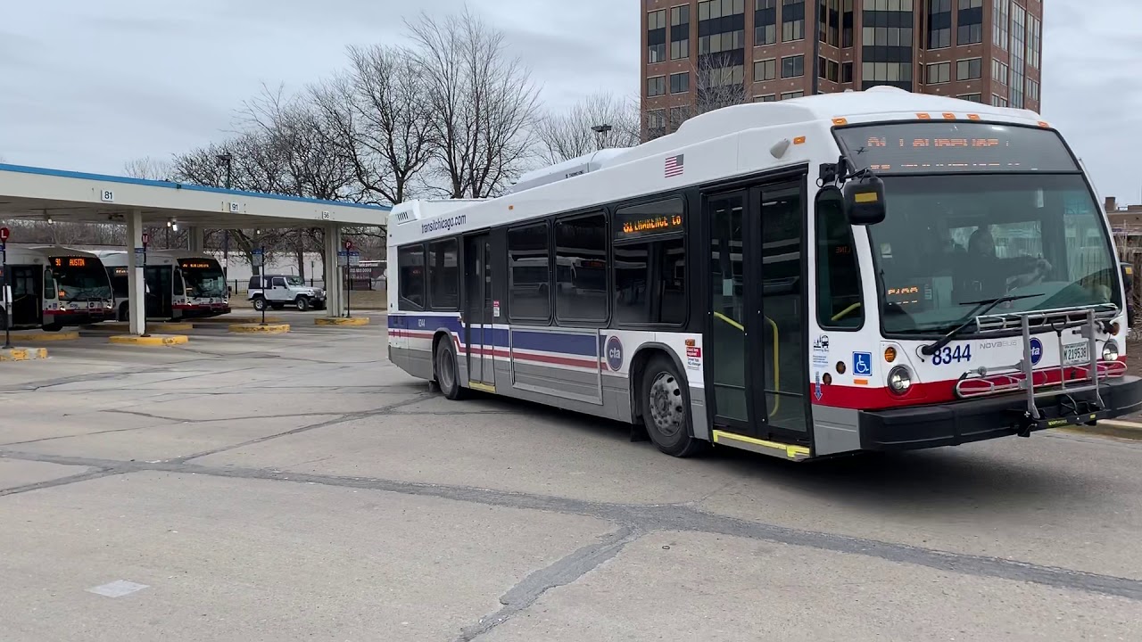 CTA 8325’s NovaLFS bus Route 81 Lawrence And 56 Milwaukee (8344) (8345 ...