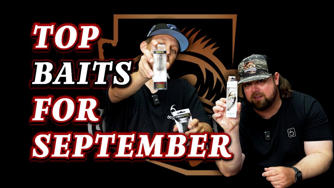Top Baits For September Bass Fishing (Secrets to Catch Bass during the ...
