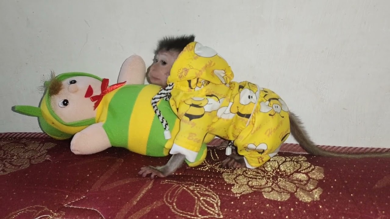 Baby monpai Bubu bermain bersama boneka - YouTube