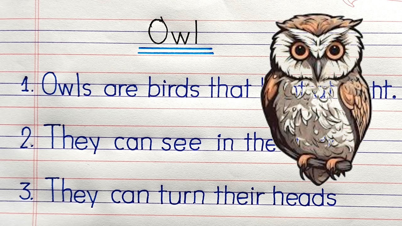 5 Lines on Owl in English | The Owl 5 Lines in English || - YouTube