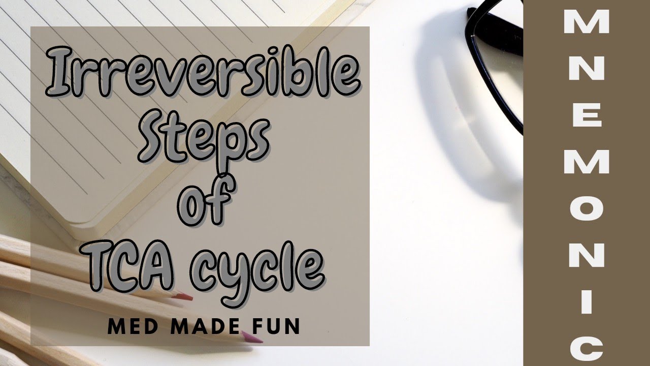irreversible steps of TCA cycle | biochemistry,mnemonics | steps of ...