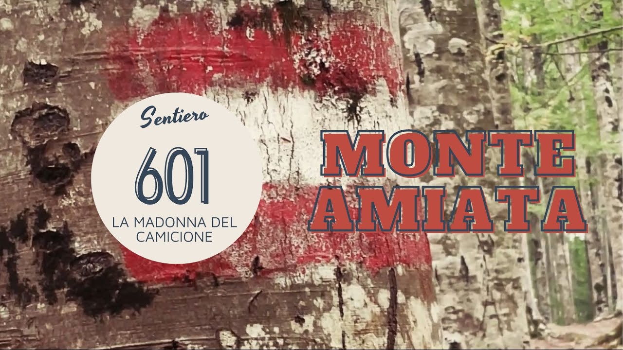 Monte Amiata - trekking sul sentiero 610 - La Madonna del Camicione ...